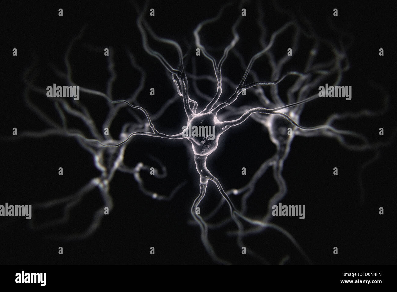 Multiple nerve cells which are also called neurons. These are ...
