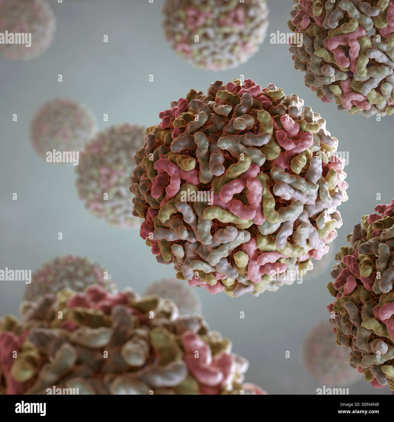 Sinv hi-res stock photography and images - Alamy