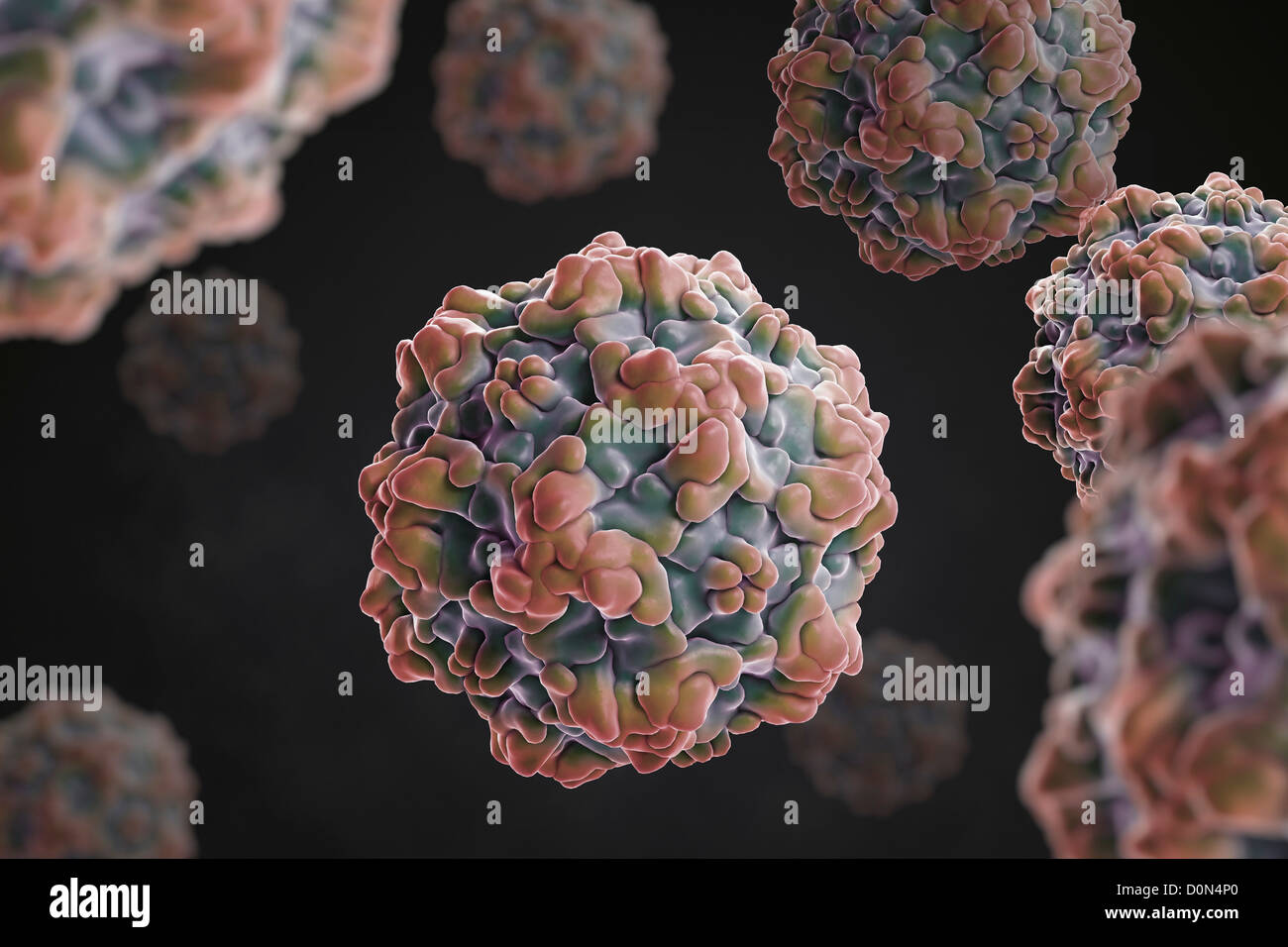 Structure Feline Panleukopenia Virus (FPV) (PDB 1C8E) also known as ...