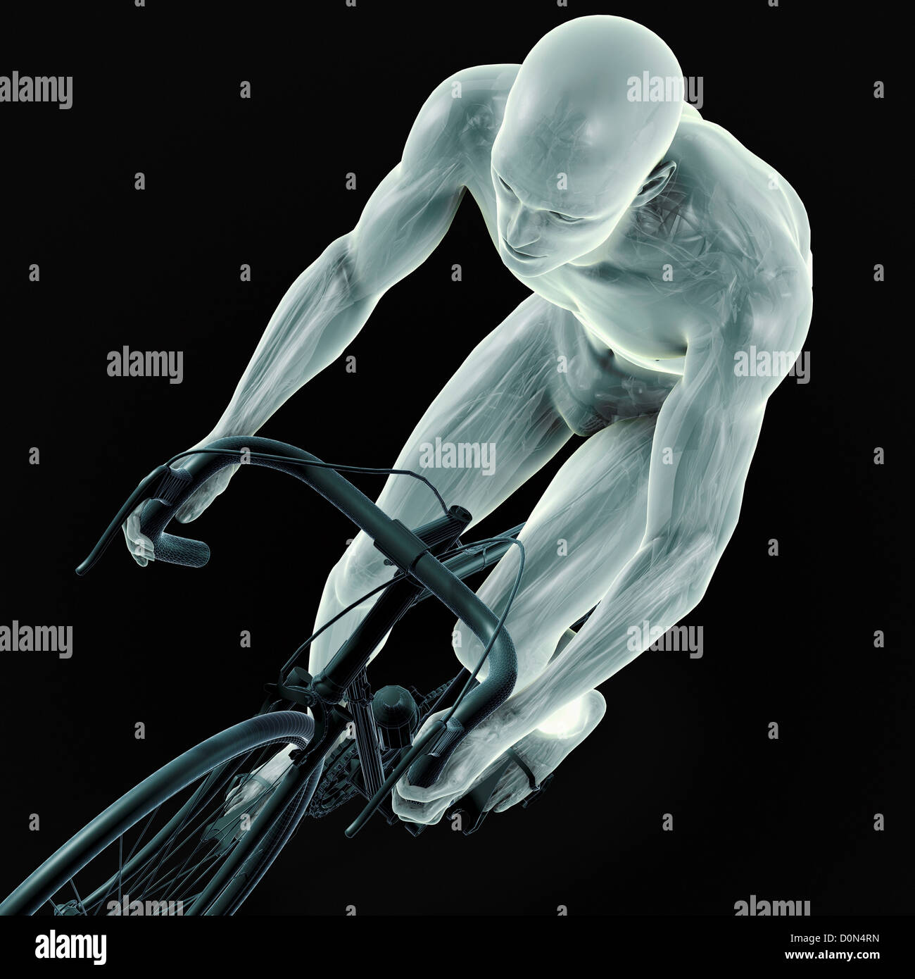 Male figure cycling a bicycle. The internal anatomy is visible within ...