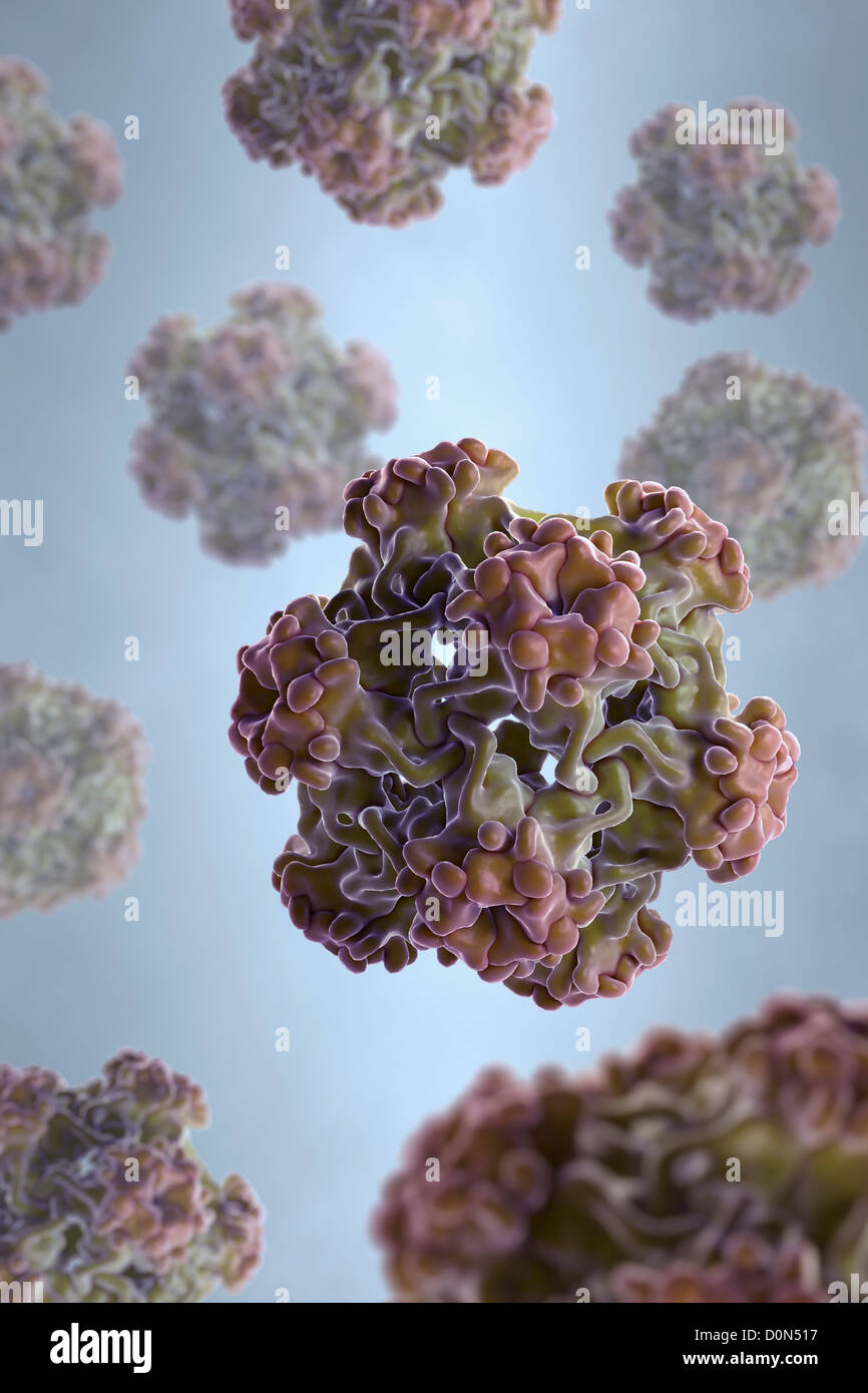 Structure small virus-like particles assembled L1 protein human ...