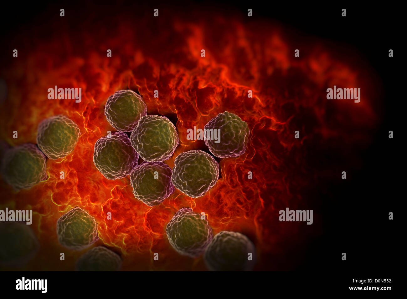 Rubella virus particles hi-res stock photography and images - Alamy