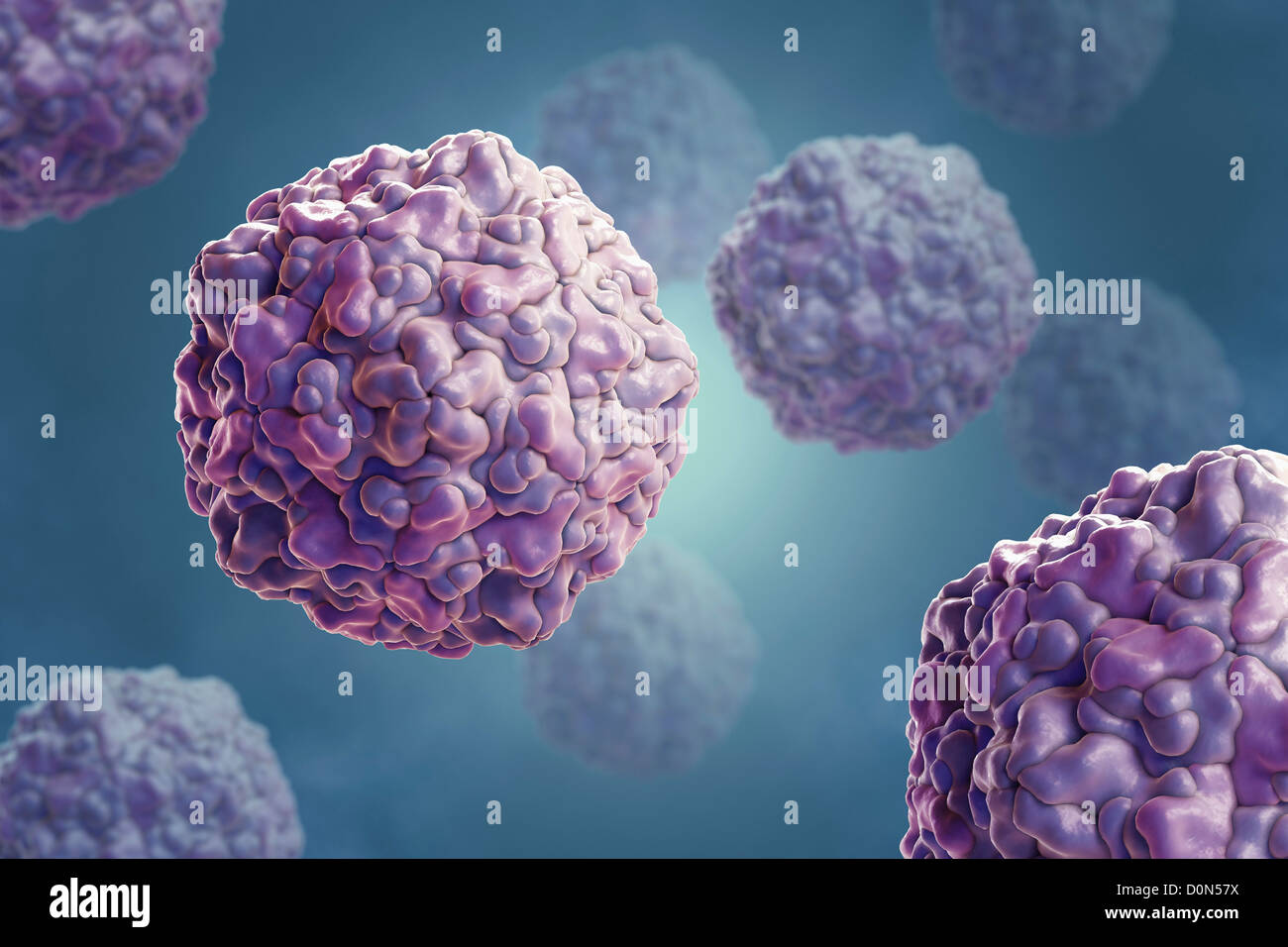 Structure Swine Vesicular Disease Virus (PDB 1OOP). SVDV is Enterovirus ...