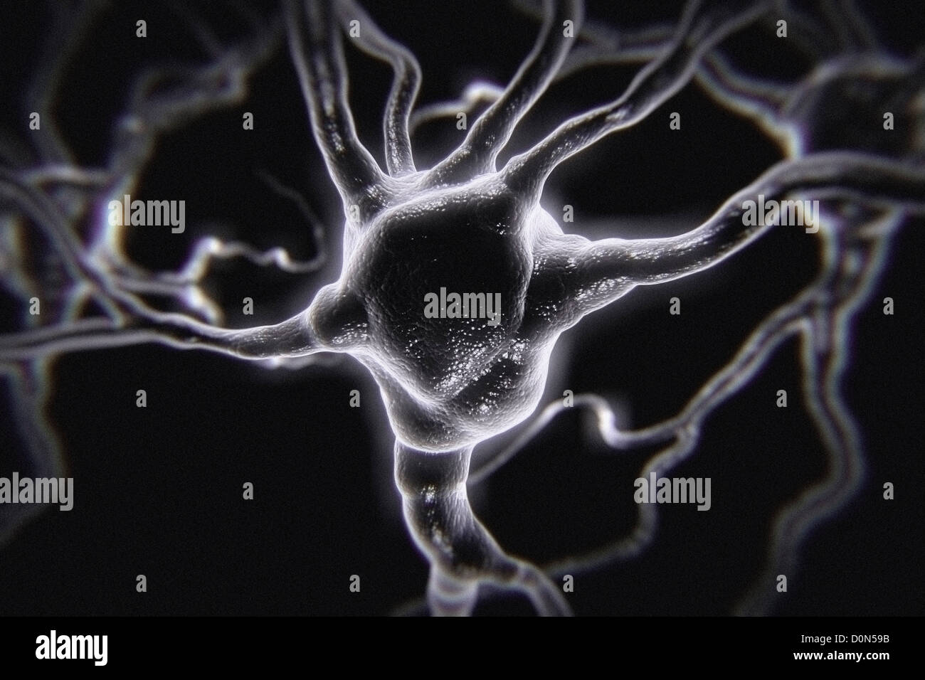 Multiple nerve cells which are also called neurons. These are ...