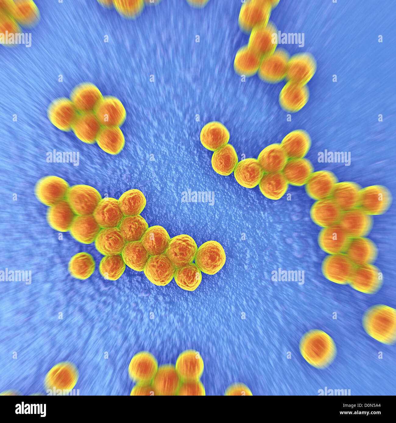 When bacteria carry several resistance genes it is considered ...