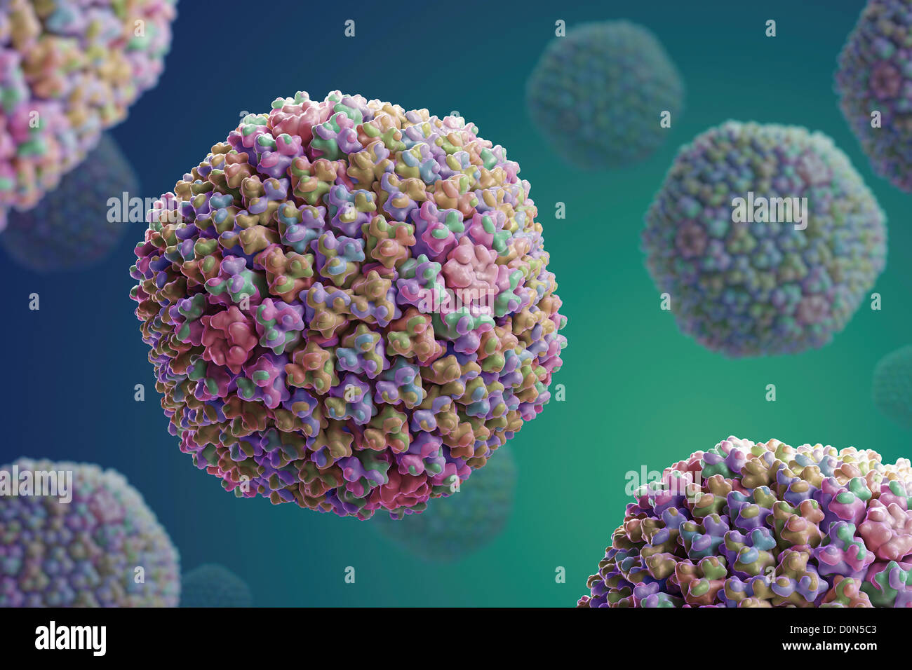 Human adenovirus hi-res stock photography and images - Alamy