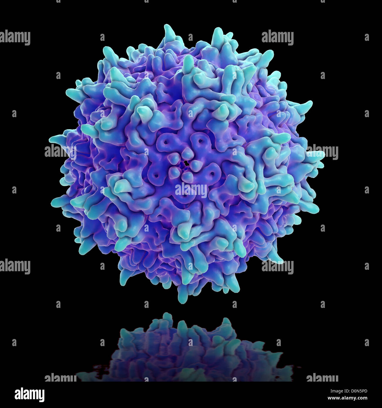 Atomic structure of Adeno-Associated Virus (PDB 1LP3), a vector for ... Atomic structure of Adeno-Associated Virus (PDB 1LP3), a vector for ...