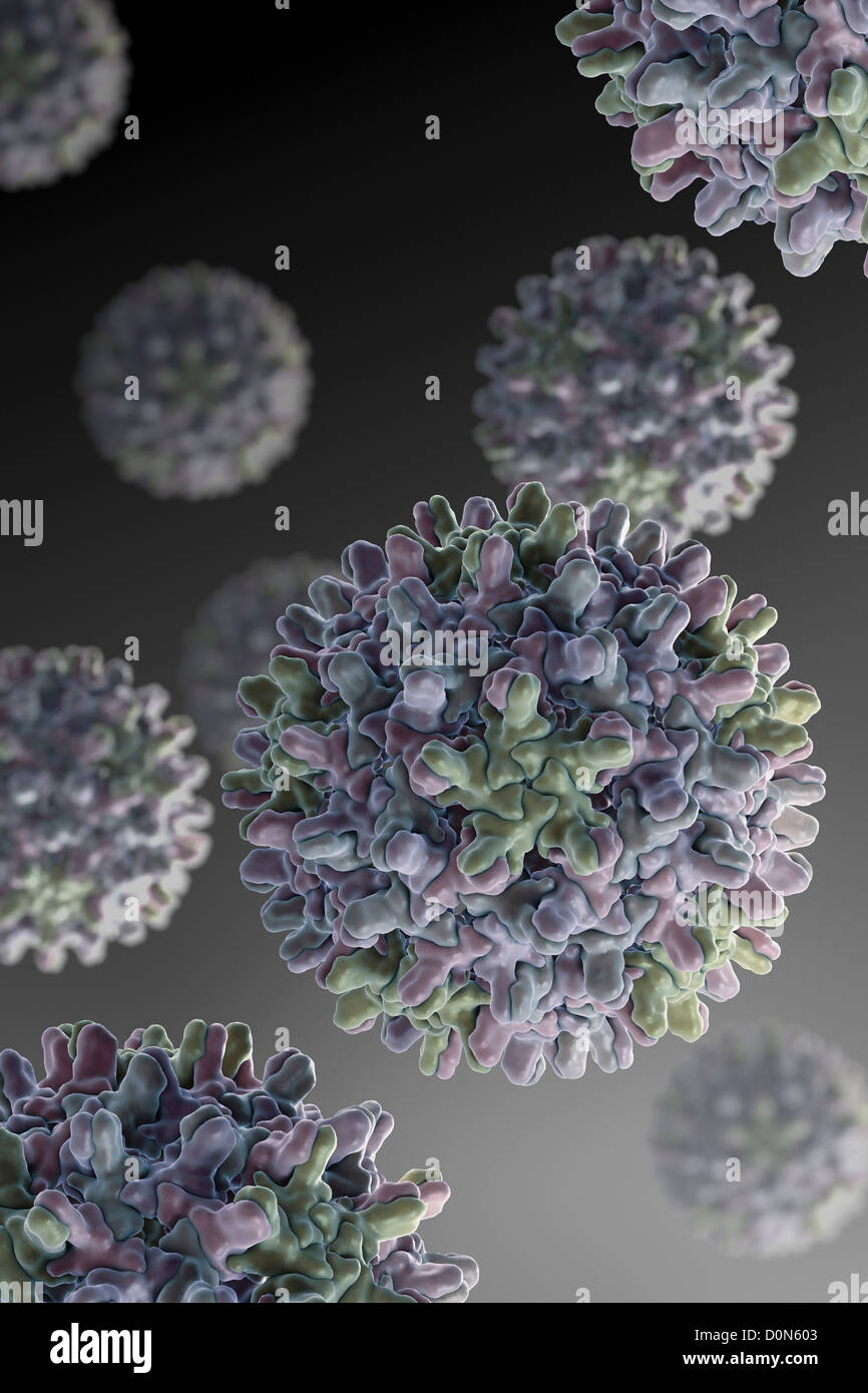 Hepadnaviridae hi-res stock photography and images - Alamy