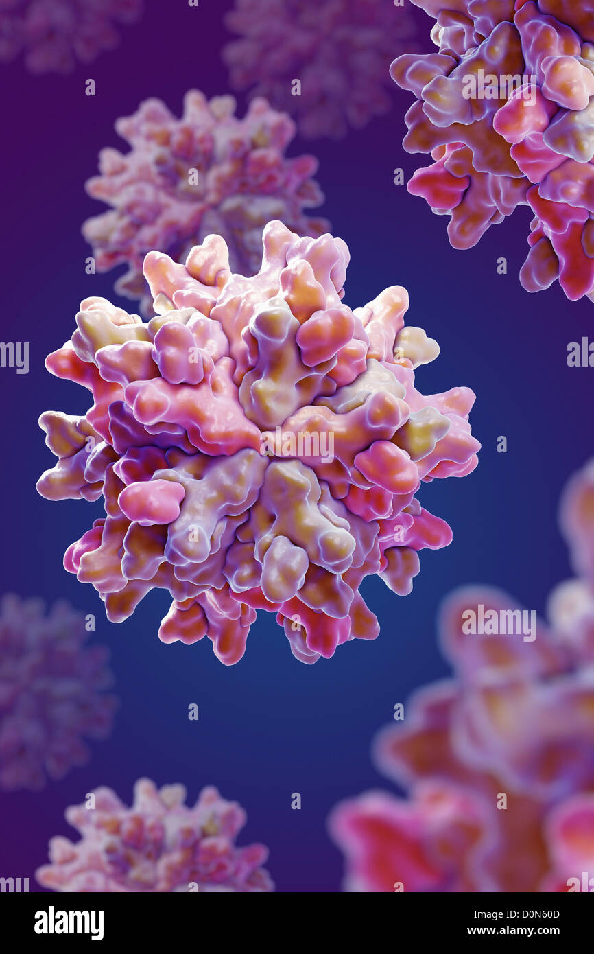 Infectious bursal disease hi-res stock photography and images - Alamy