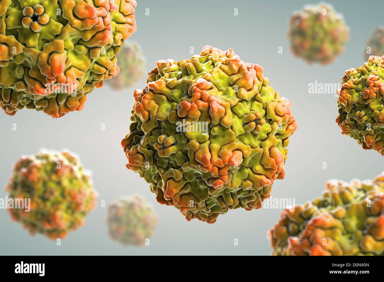 A cluster of Canine Parvovirus particles (PDB 1C8D Stock Photo - Alamy