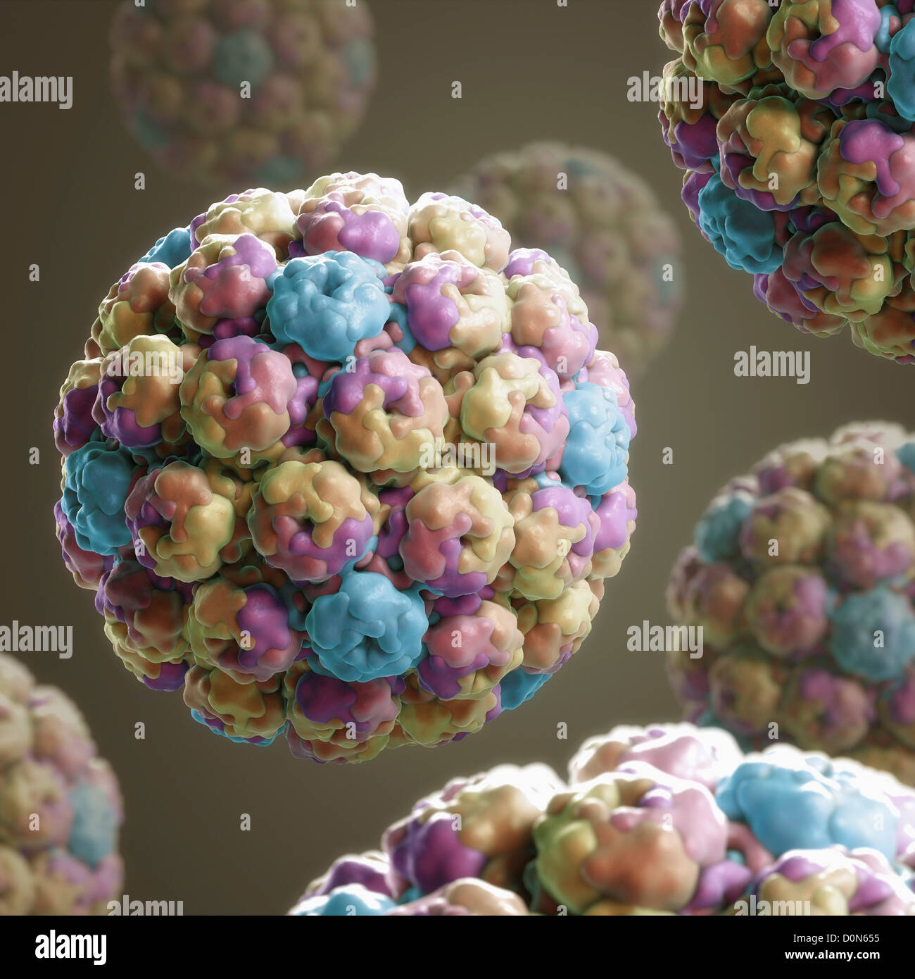 The sv40 monkey virus hi-res stock photography and images - Alamy