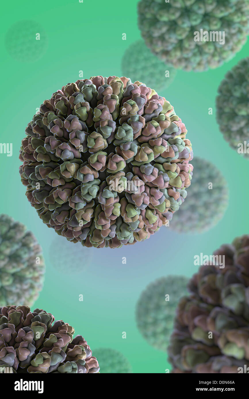 Rotavirus structure hi-res stock photography and images - Alamy