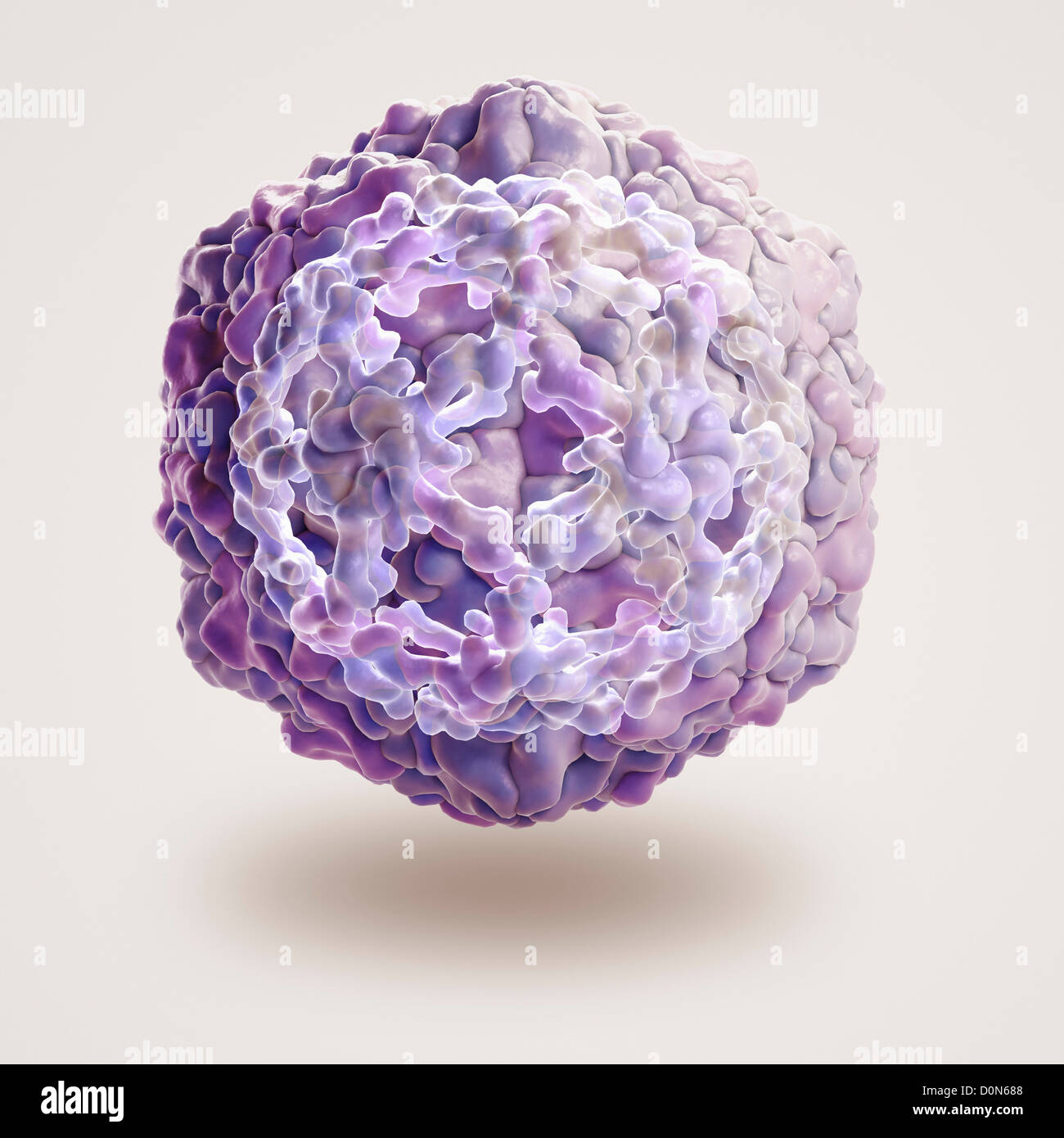 Structure Swine Vesicular Disease Virus (PDB 1OOP). SVDV is Enterovirus ...
