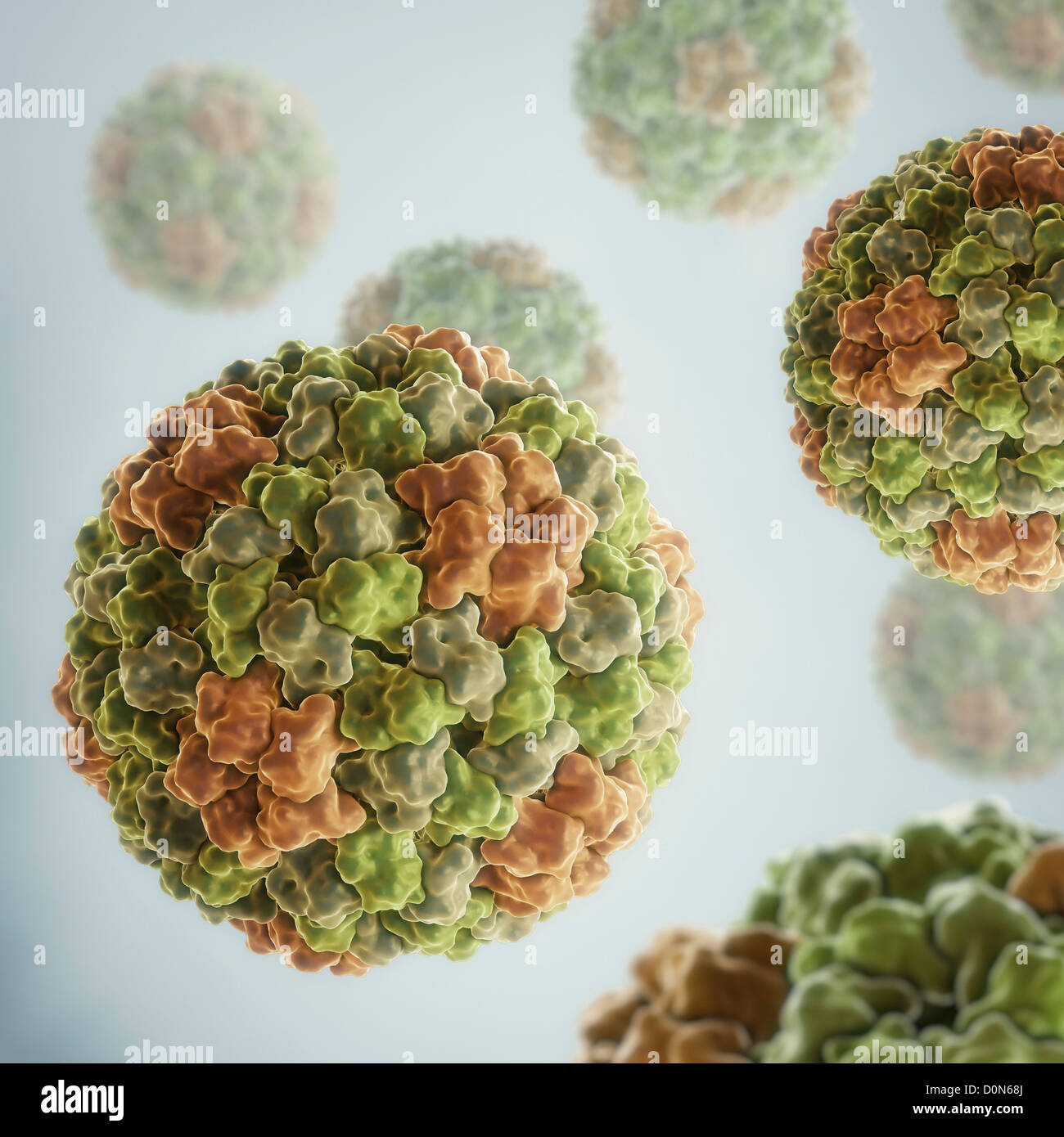 Cucumber mosaic virus hi-res stock photography and images - Alamy