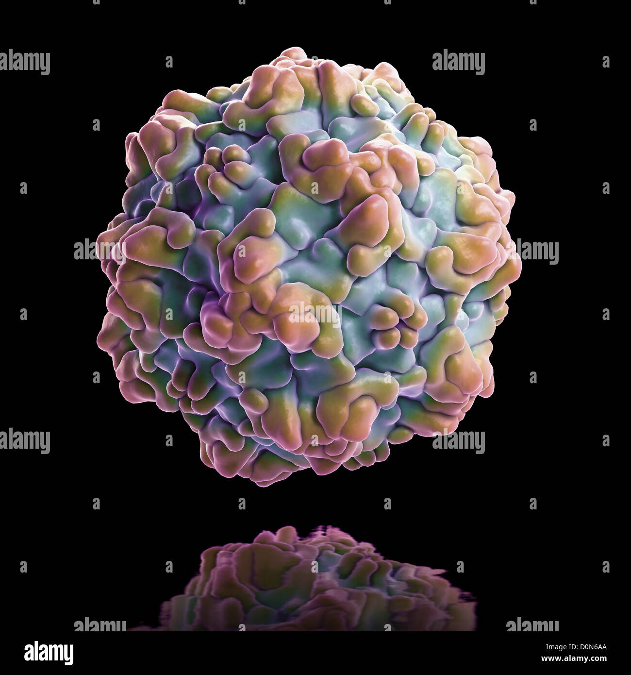 Structure Feline Panleukopenia Virus (FPV) (PDB 1C8E) also known as ...