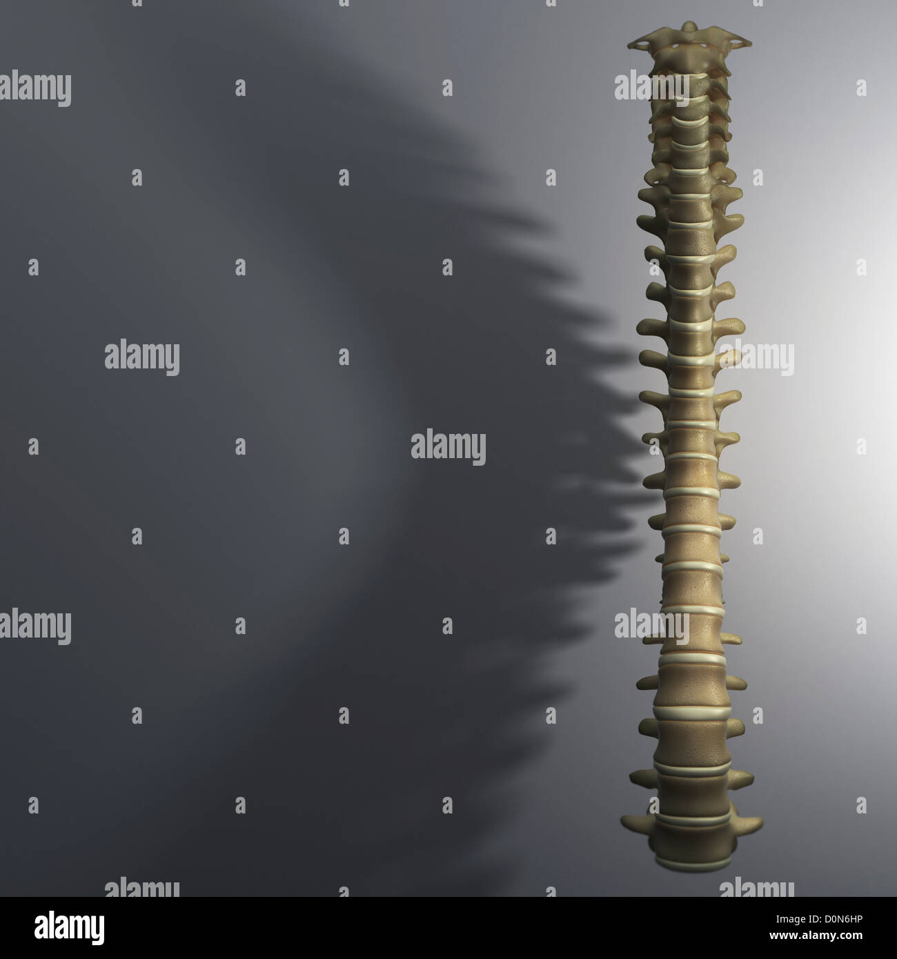 From the right hi-res stock photography and images - Alamy