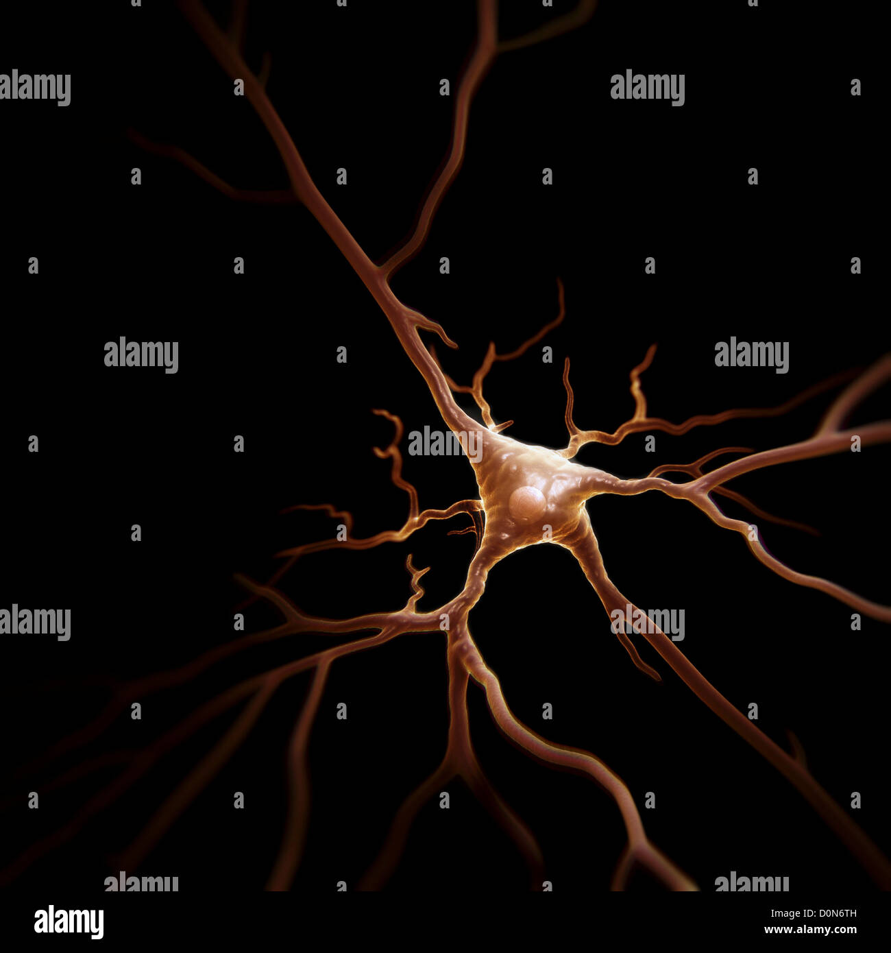 Pyramidal cell hi-res stock photography and images - Alamy