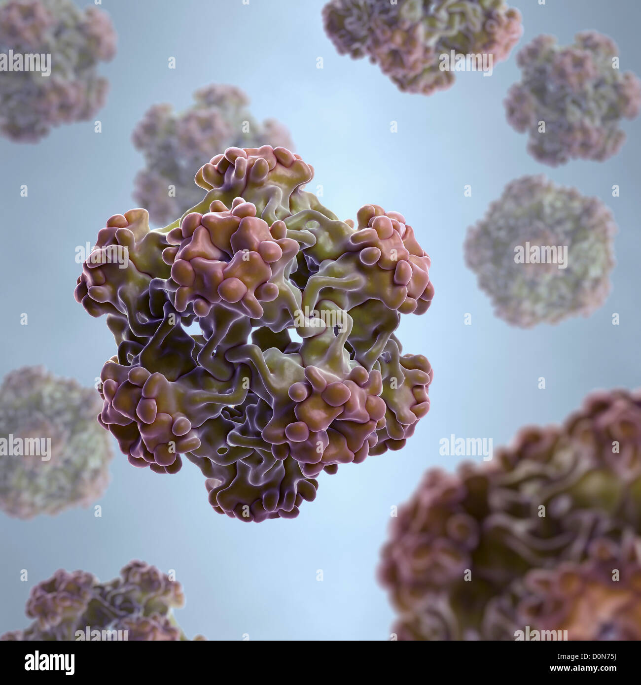 Structure small virus-like particles assembled L1 protein human ...