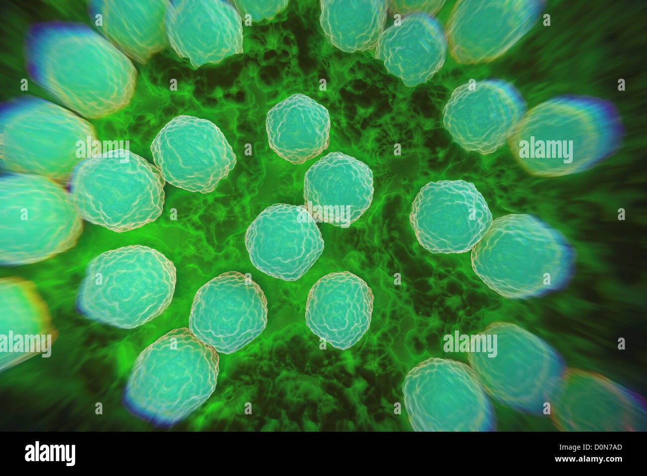 Rubella virus particles on cellular surface. Rubella disease commonly ...