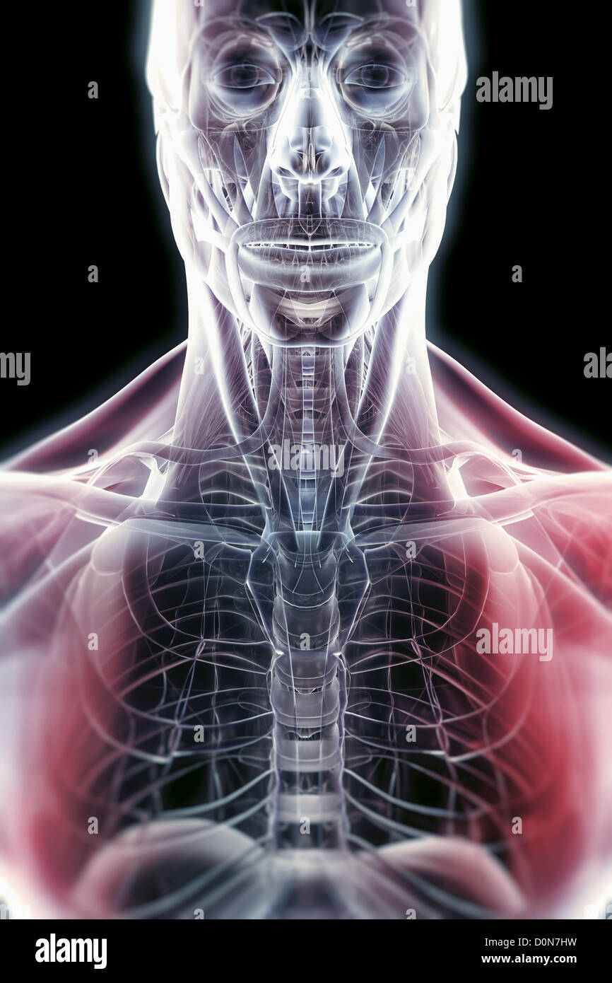 Head angled hi-res stock photography and images - Alamy