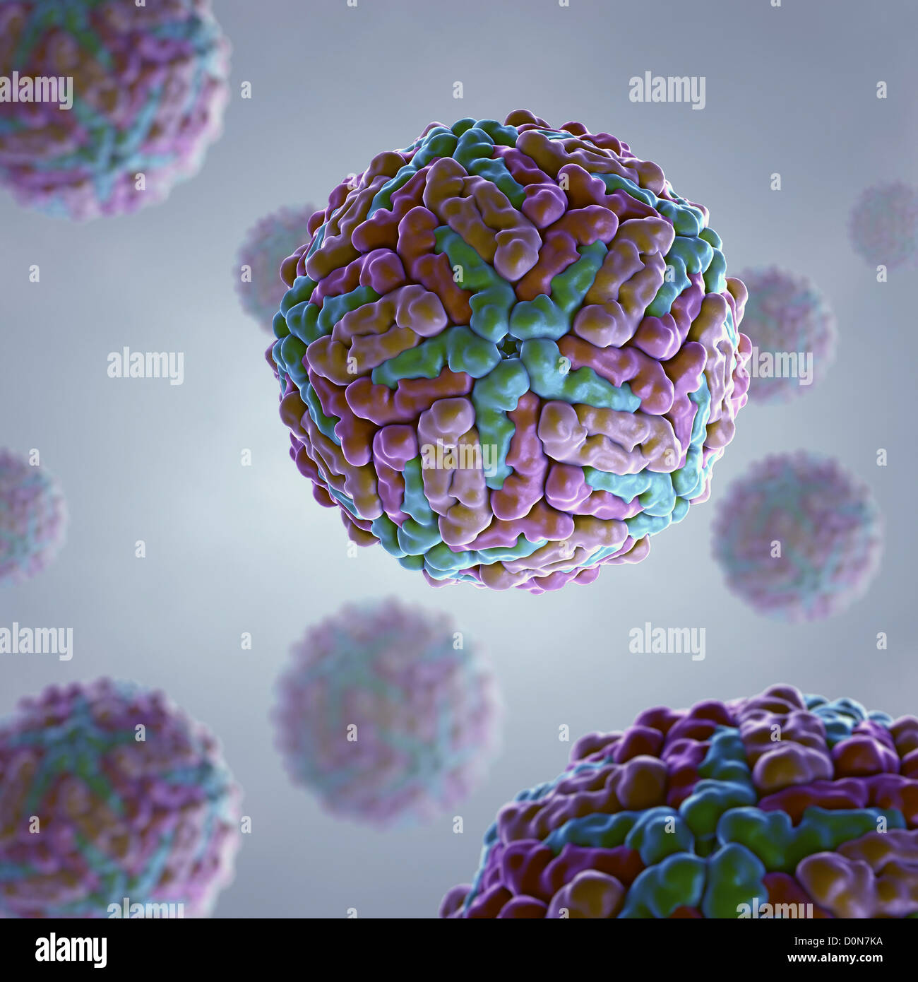 Structure Dengue virus (DENV) (PDB 1K4R) cause dengue fever. It is ...