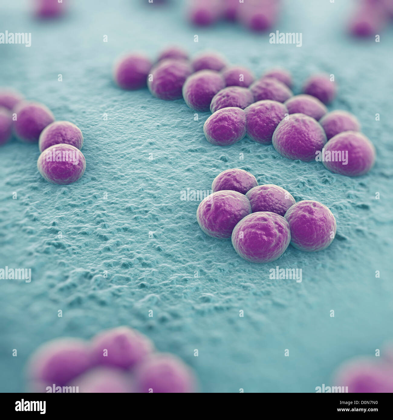 When bacteria carry several resistance genes it is considered ...