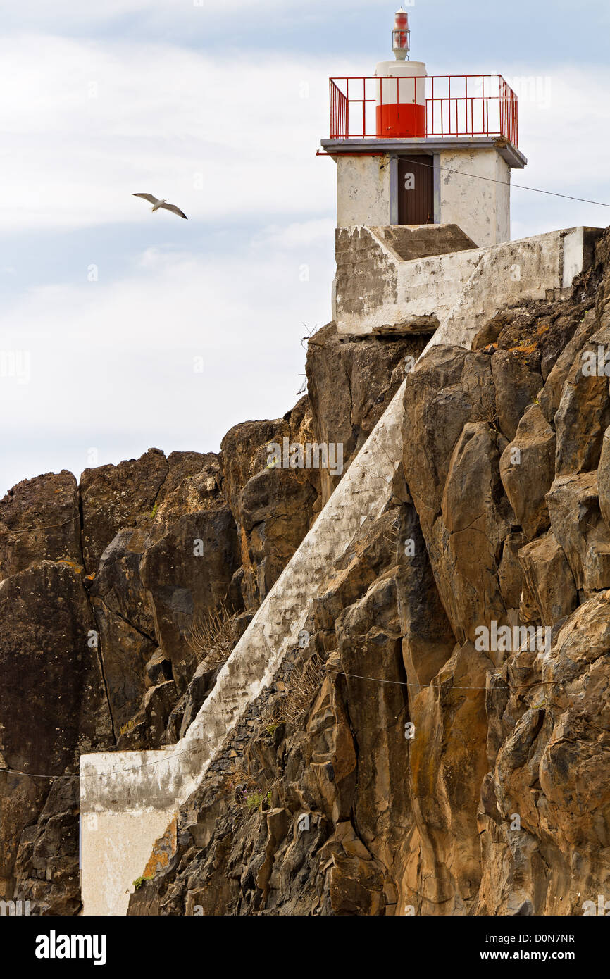 Caméra de lobos hi-res stock photography and images - Alamy