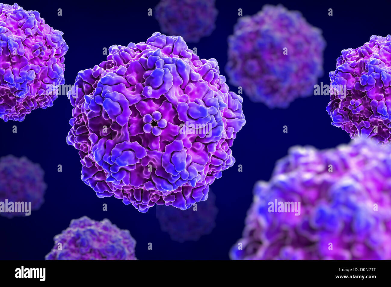 What Is The Structure Of Canine Parvovirus
