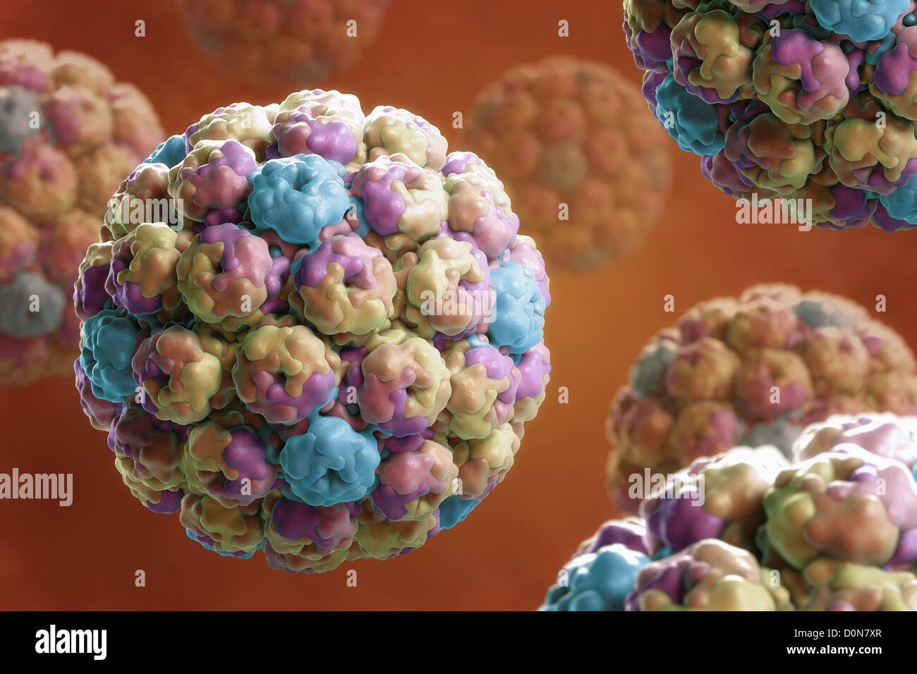 Simian virus hi-res stock photography and images - Alamy