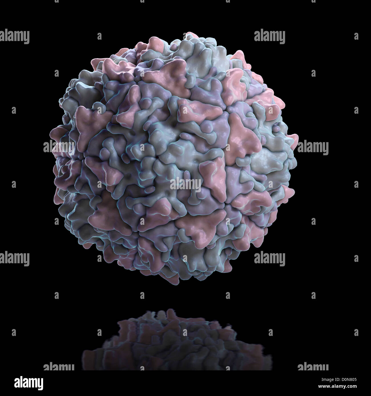 Type 3 poliomyelitis hi-res stock photography and images - Alamy