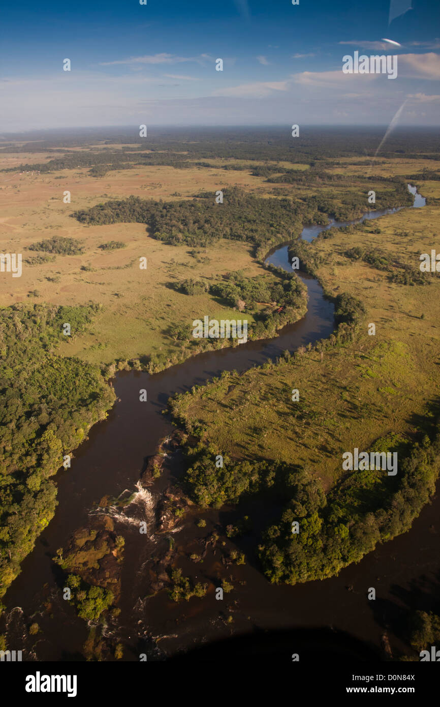 Amapa tree hi-res stock photography and images - Alamy