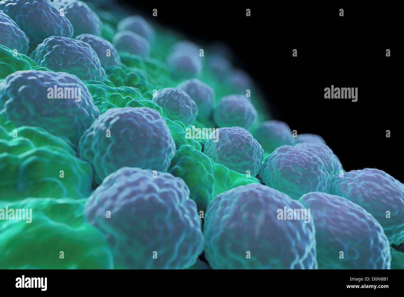 Congenital rubella hi-res stock photography and images - Alamy