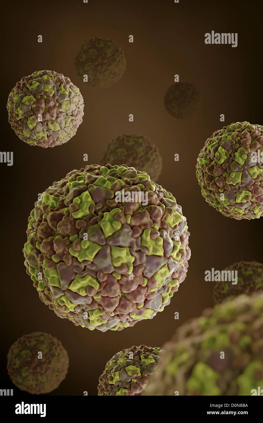 Structure foot-and-mouth disease virus (1BBT) which is pathogen that ...