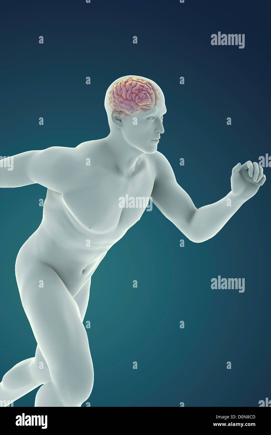 Male male figure hi-res stock photography and images - Alamy