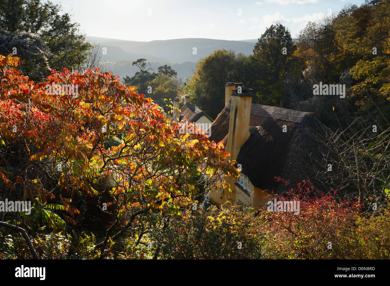 Selworthy Village in Autumn on The Holnicote Estate. Exmoor National ...