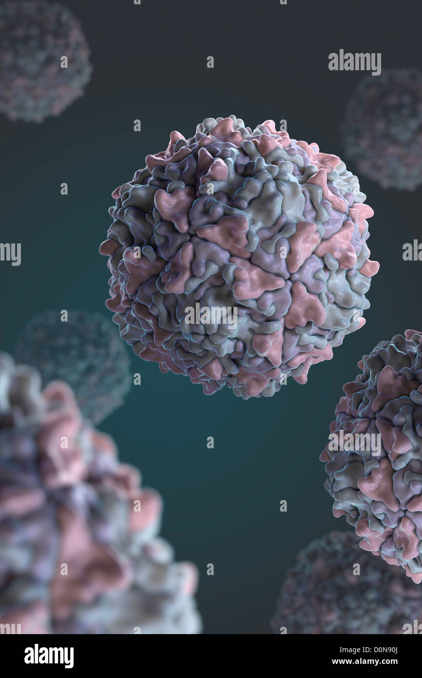 Type 3 poliomyelitis hi-res stock photography and images - Alamy