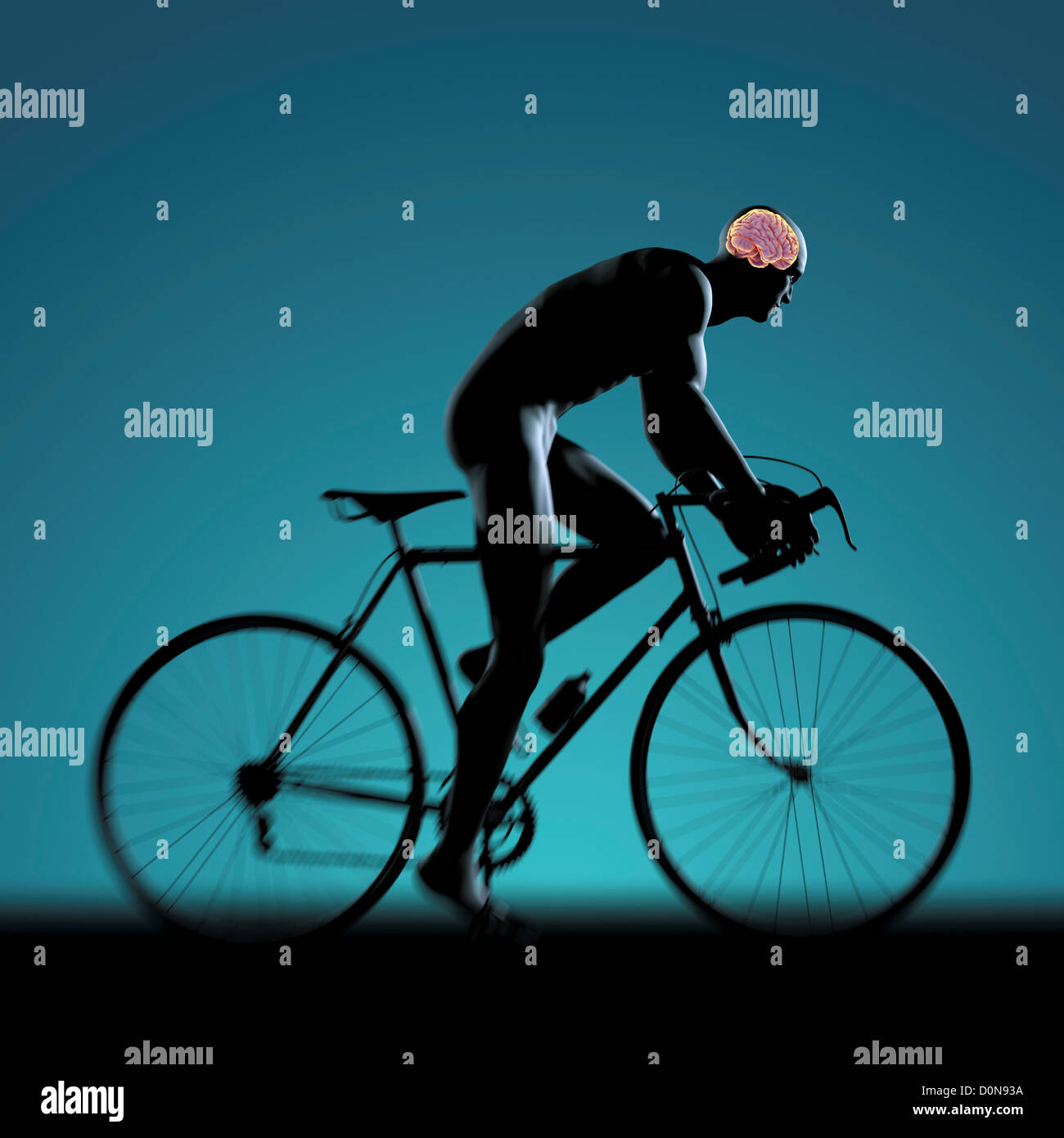 Silhouetted male figure cycling a bicycle with internal anatomy of the ...