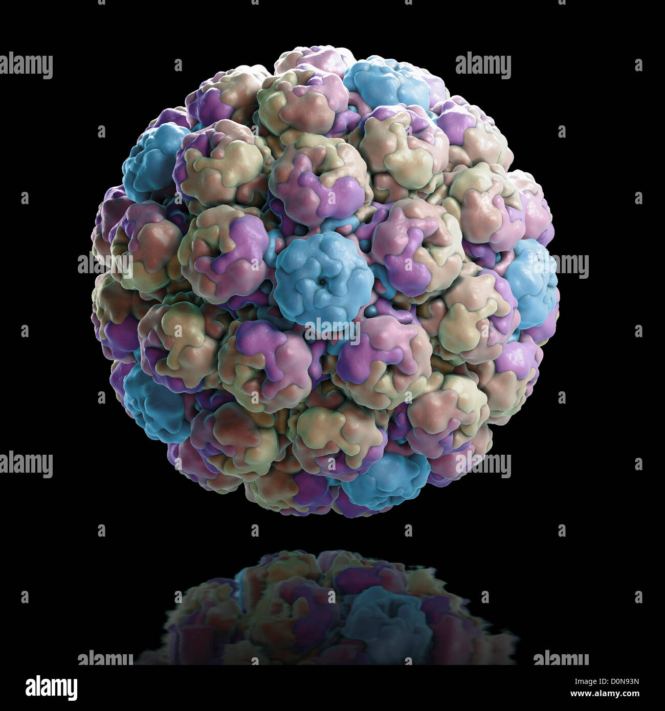 Structure Simian Virus 40 (PDB 1SVA) polyomavirus that is found in ...