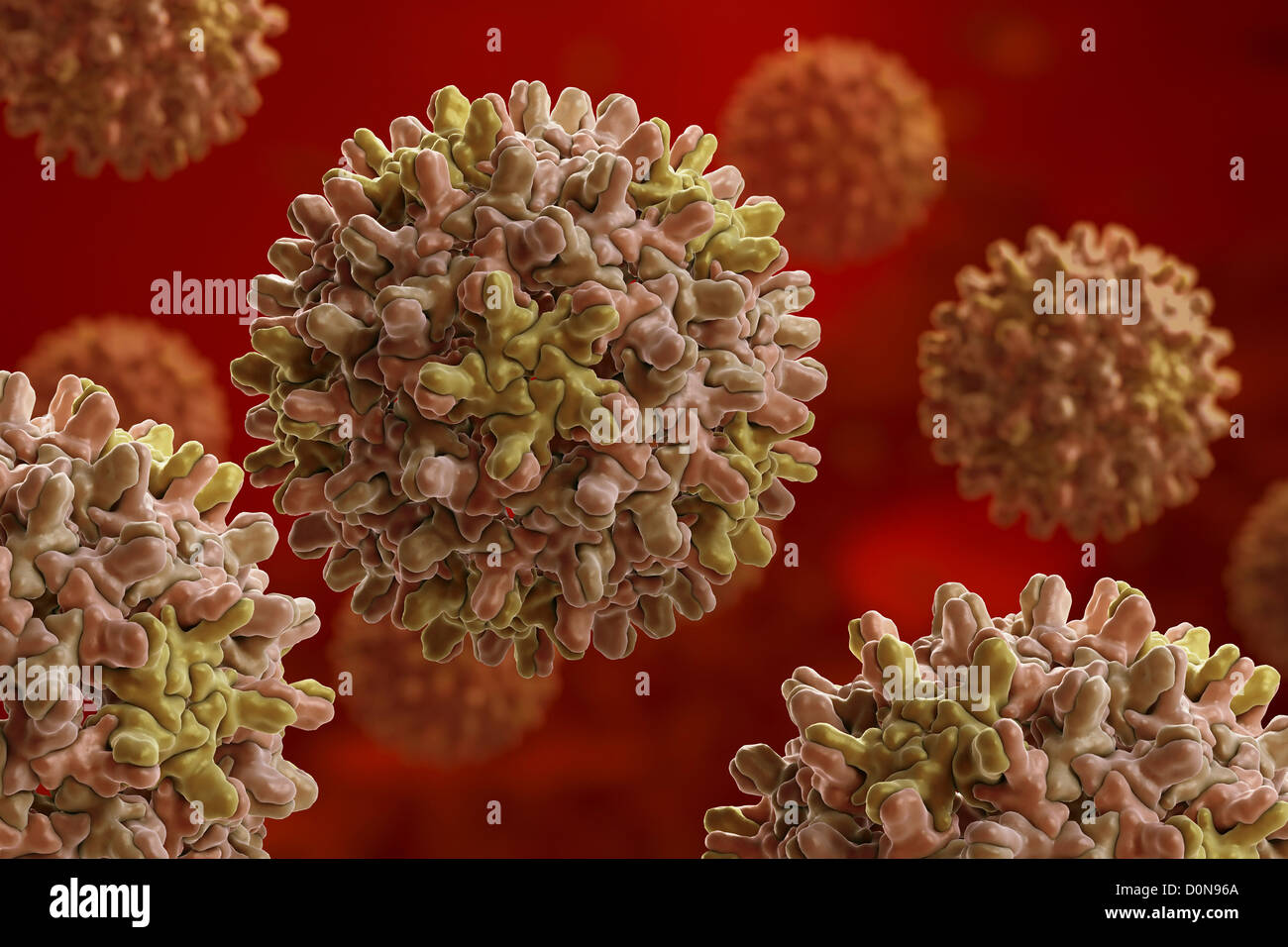 Hepadnaviridae hi-res stock photography and images - Alamy