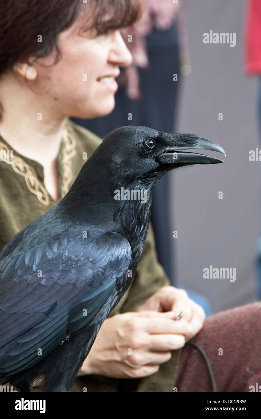 Black raven bird viking mythology symbolism hi-res stock photography ...