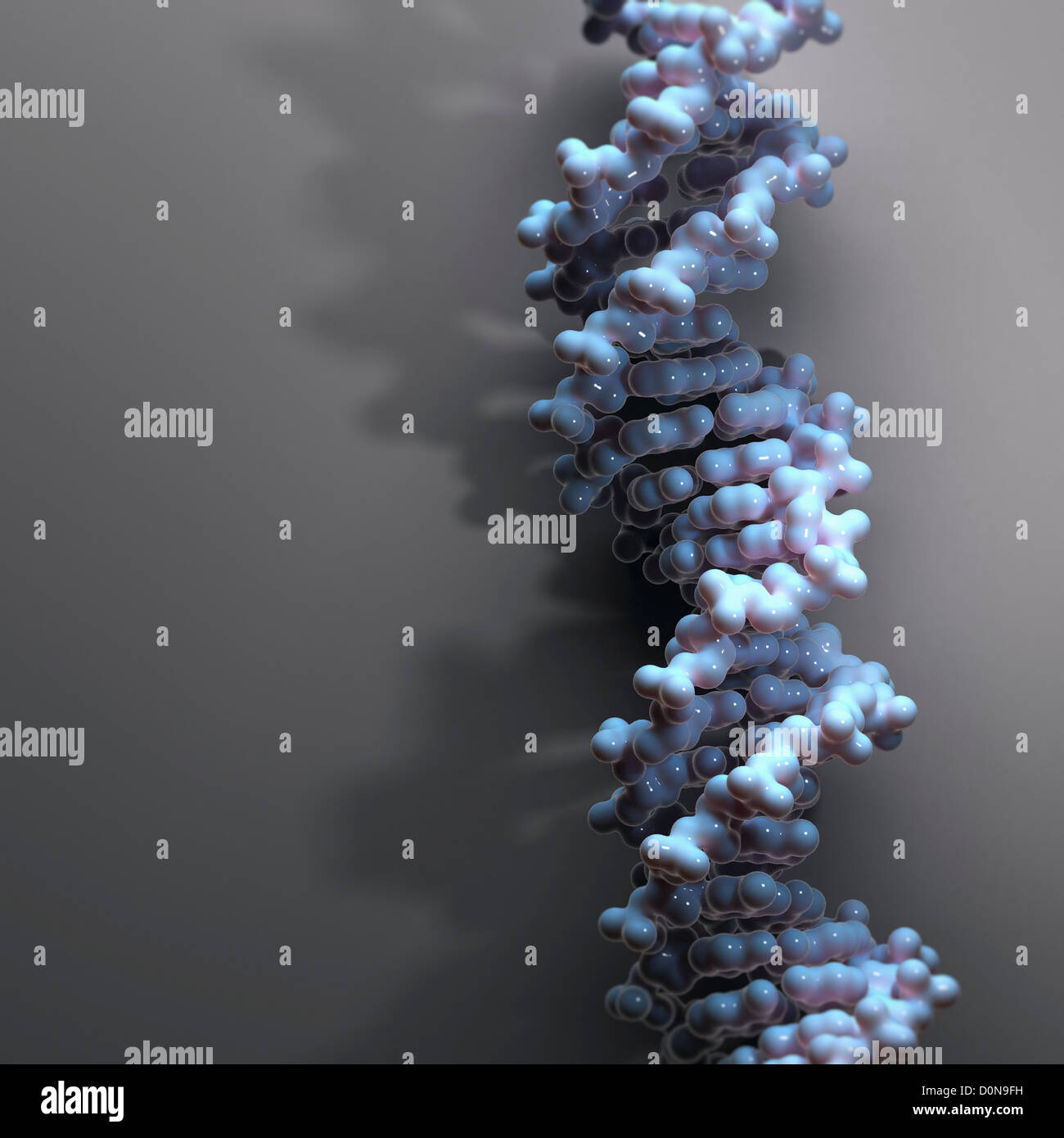 Structure of human DNA or deoxyribonucleic acid (PDB 1BNA Stock Photo ...
