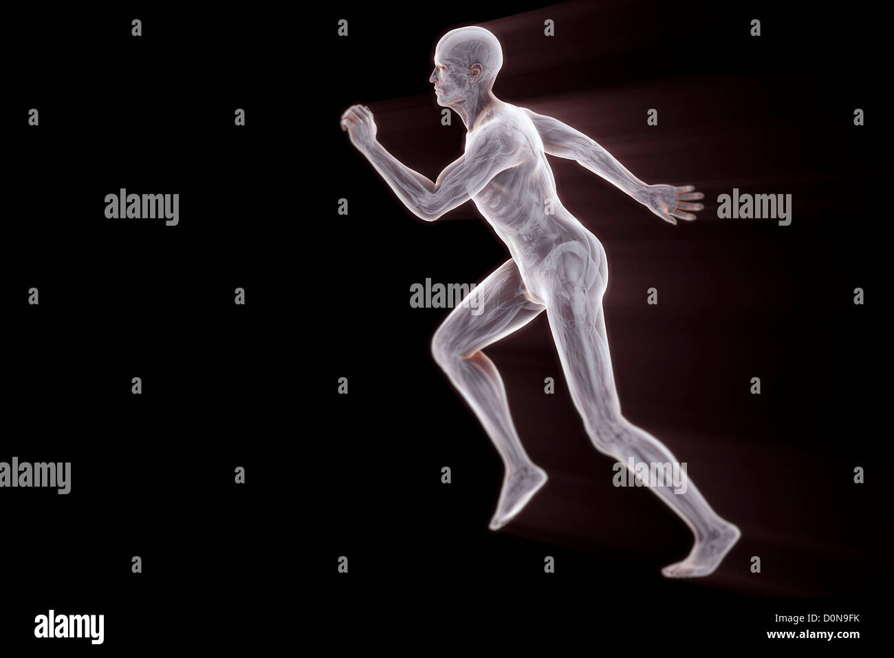 A running male figure with transparent skin to reveal the inner ...
