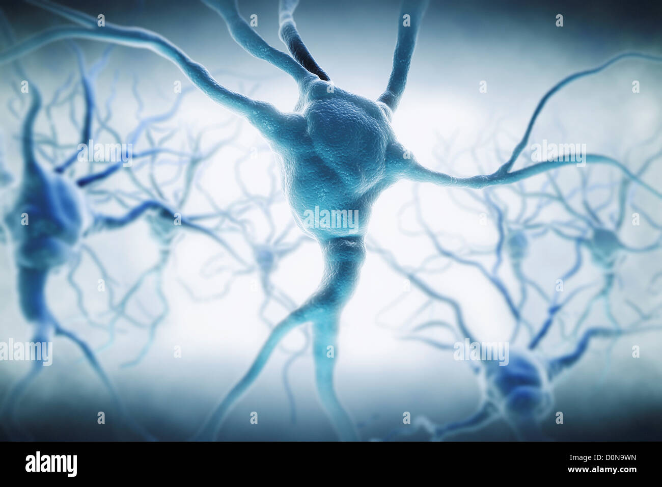 Multiple nerve cells which are also called neurons. These are ...