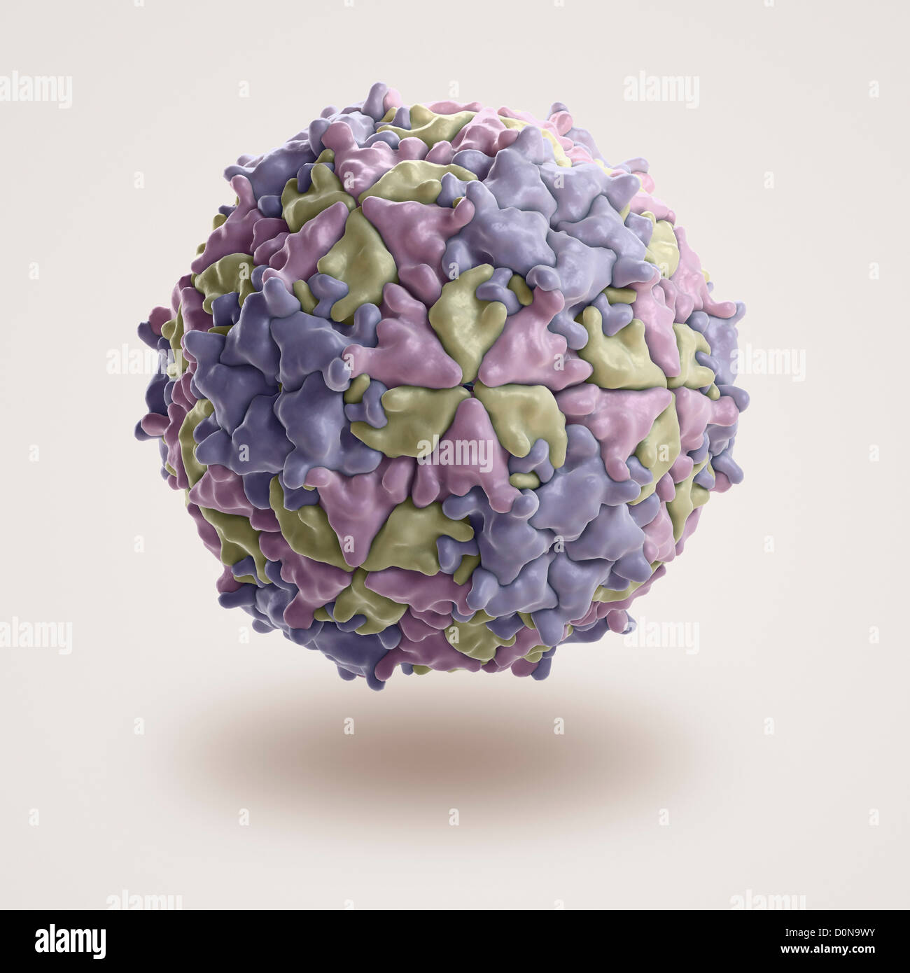 Structure of the Mengo Encephalomyelitis Virus (PDB 2MEV Stock Photo ...