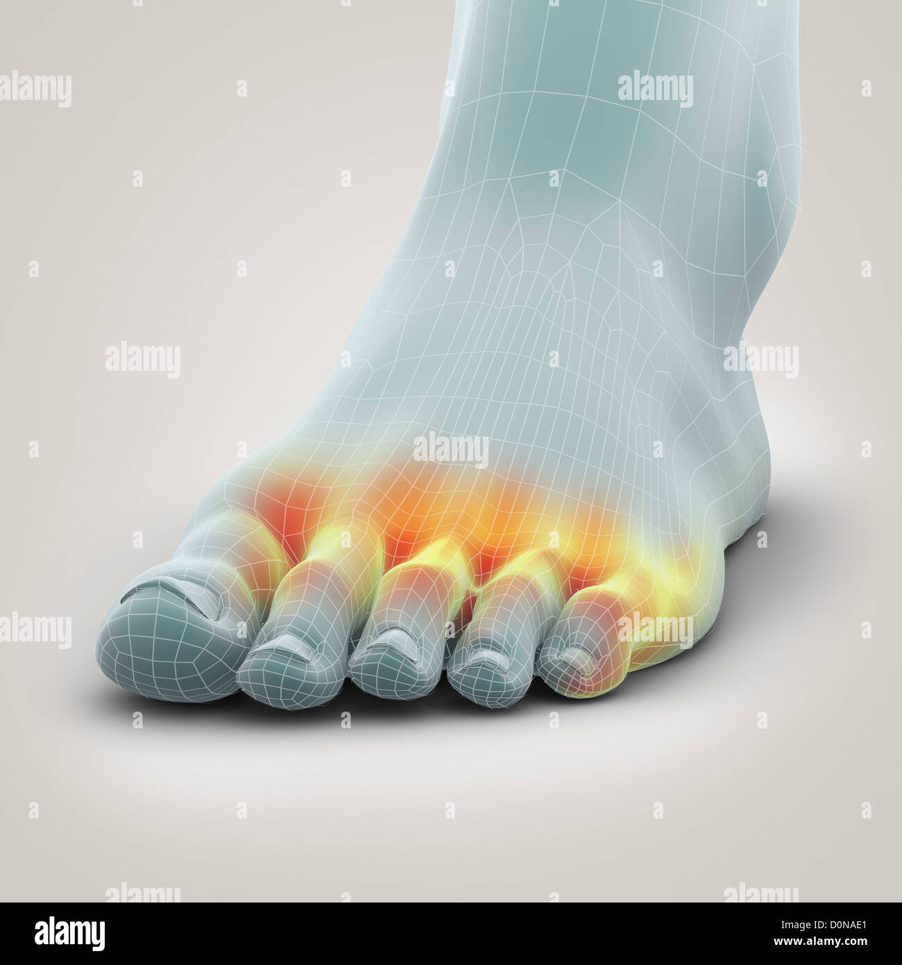 A left foot wireframe appearance. foot is highlighted represent ...