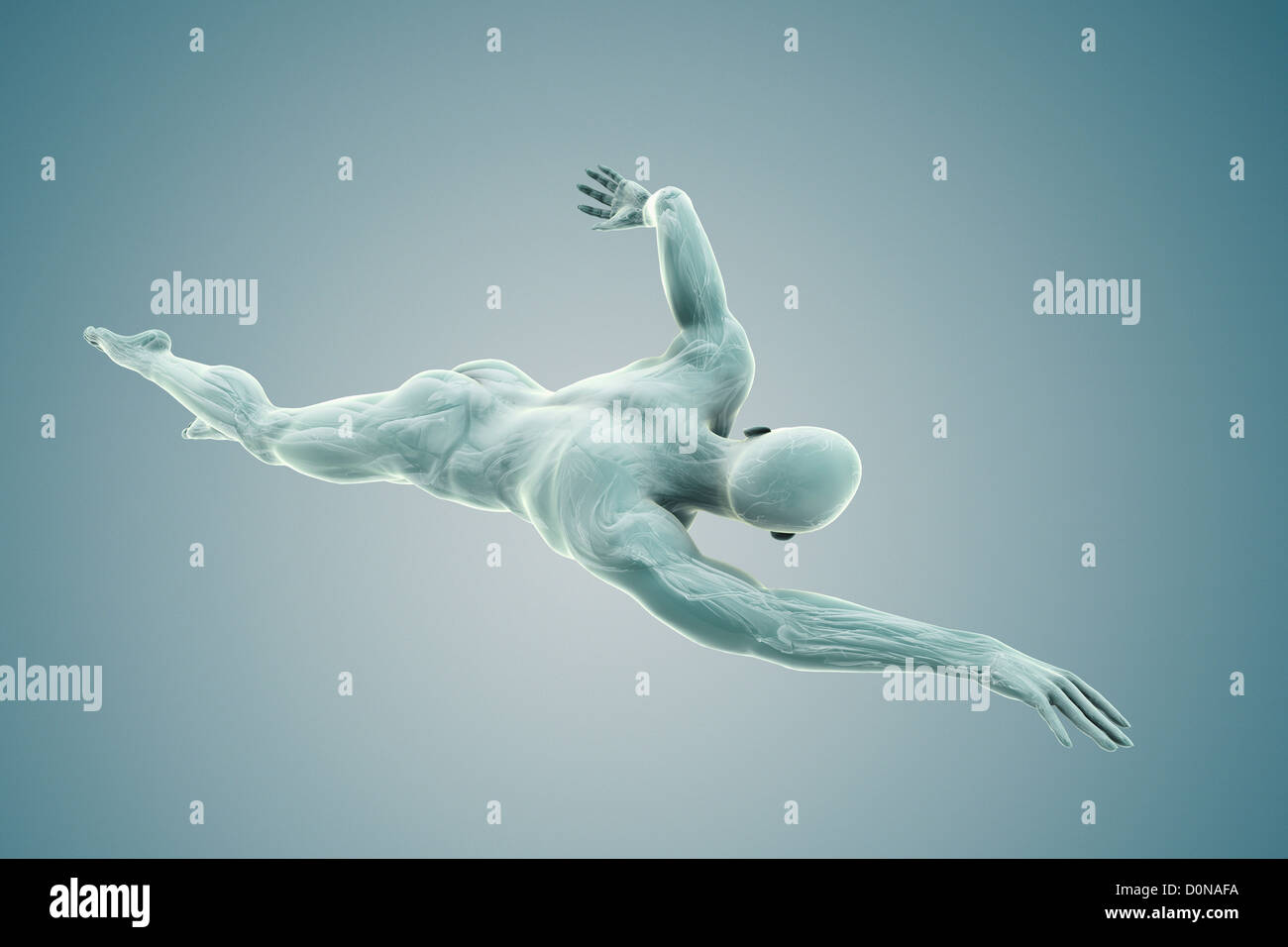A male figure swimming mid stroke with transparent skin revealing the ...