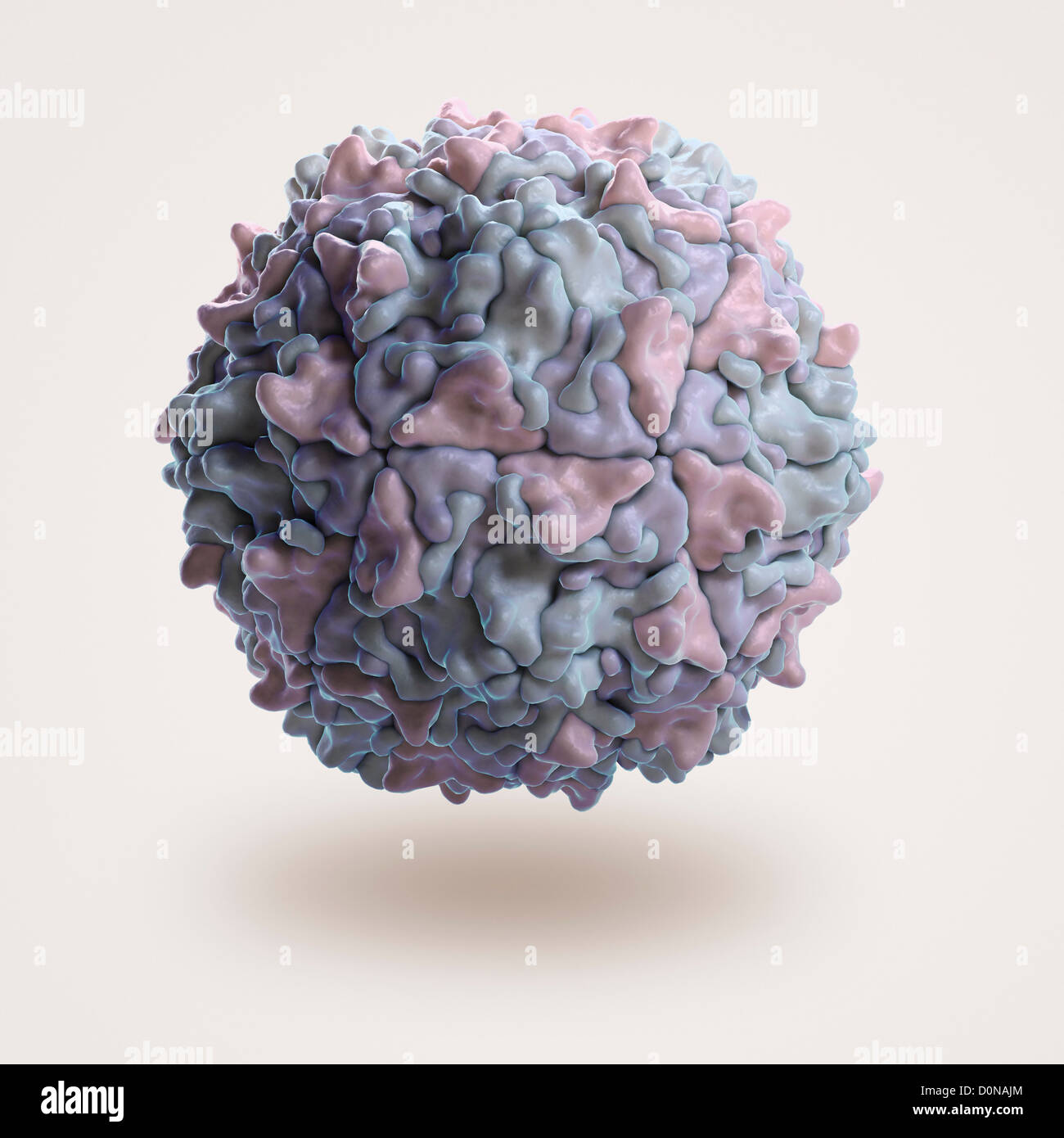 Structure of the Sabin strain of type 3 Poliovirus (PDB 2PLV Stock ...