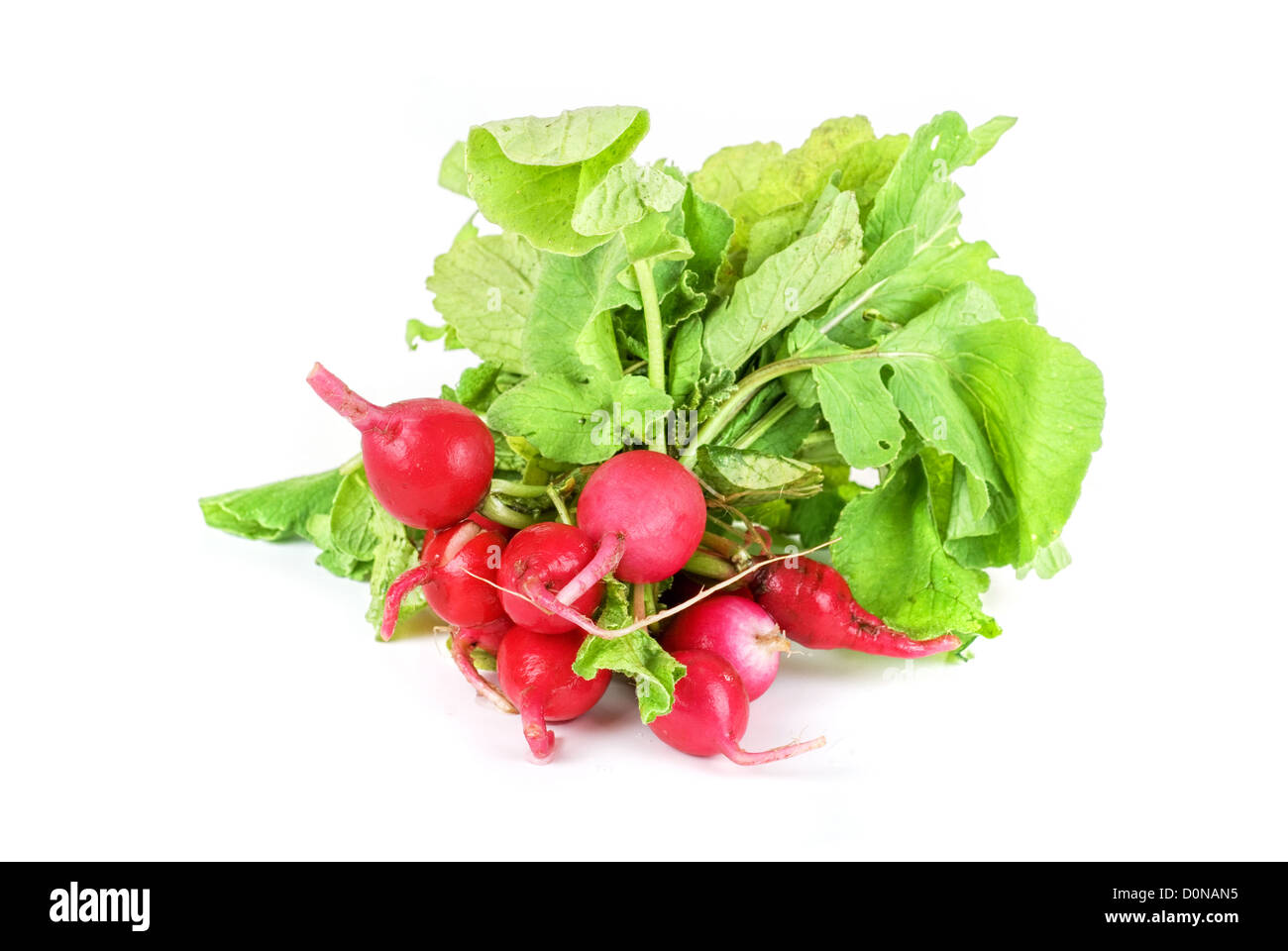 Fresh small red radishes Cut Out Stock Images & Pictures - Alamy