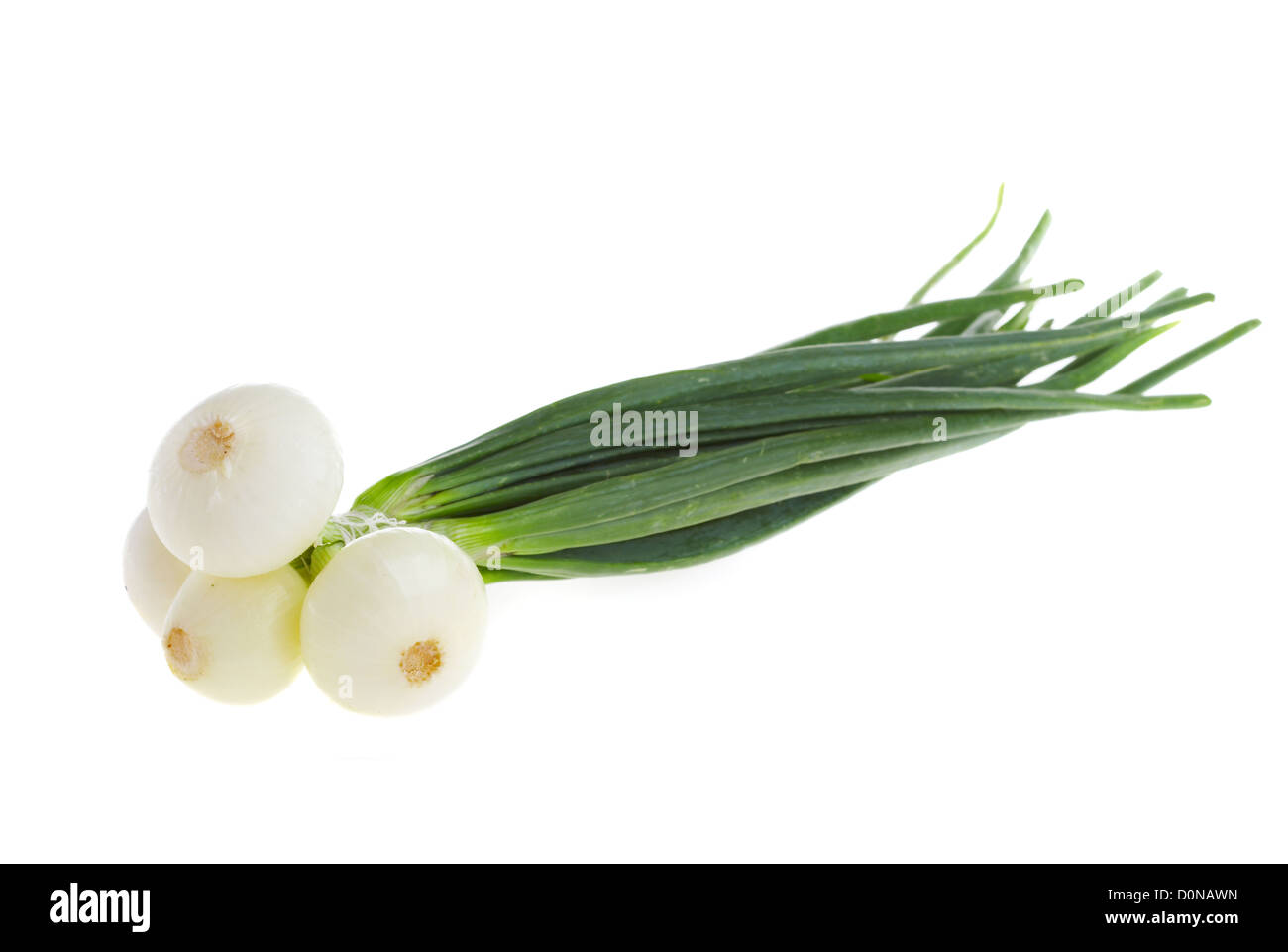 Bundle of onions hi-res stock photography and images - Alamy