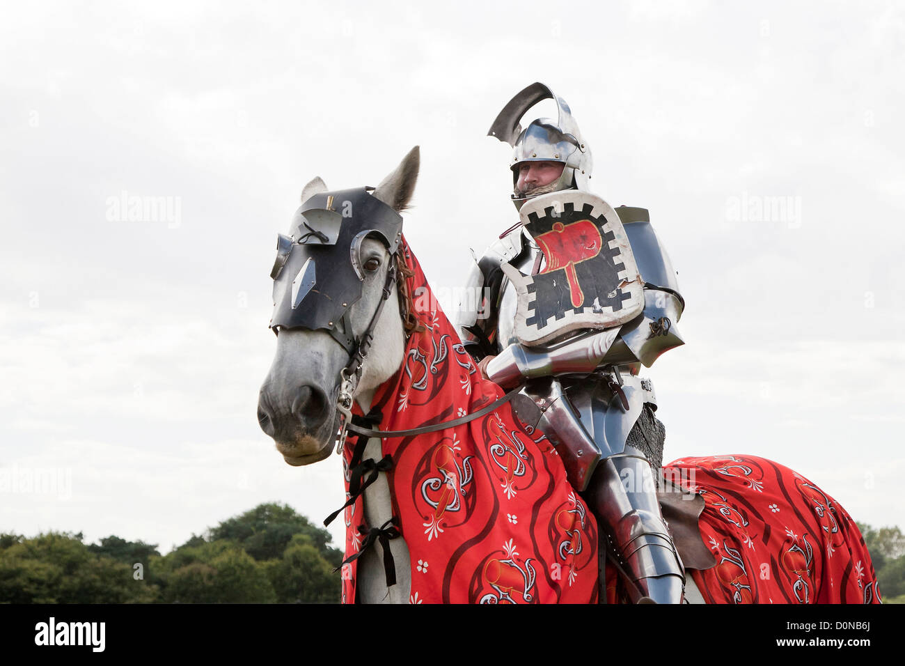 Knight in shining armor hi-res stock photography and images - Alamy